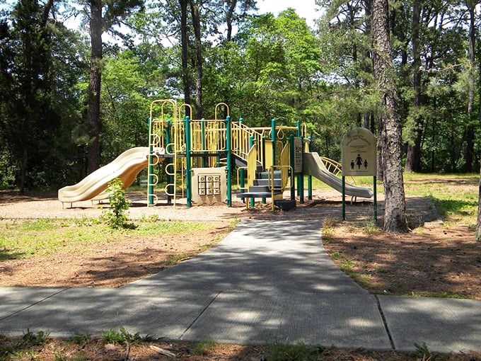 Playground paradise nestled among the pines. Where kids burn energy and parents secretly wish they could still fit down those slides.