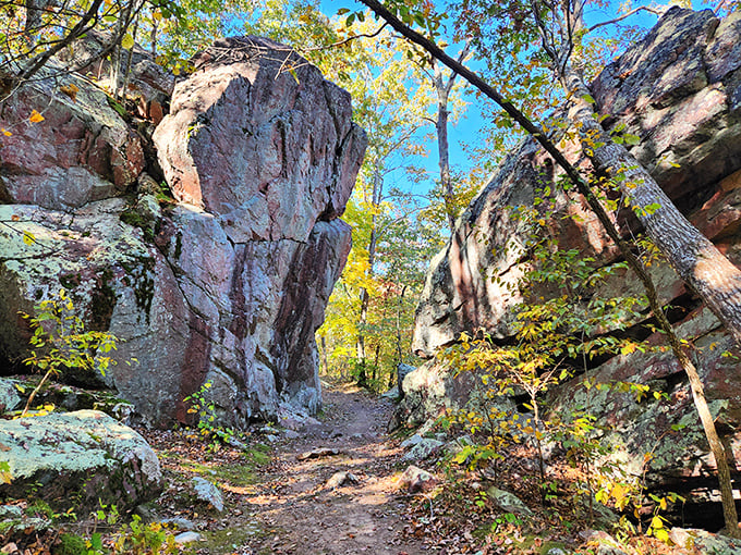 These imposing rock formations create nature's gateway. Walking between them feels like entering an ancient portal to Missouri's wilder, more mysterious past.