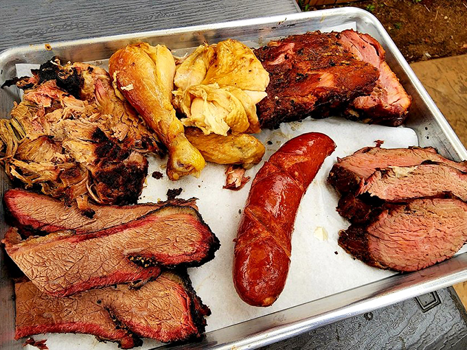 A meat lover's dream team assembled on one tray. The pulled pork, chicken, brisket, and sausage create a Mount Rushmore of smoked protein perfection.