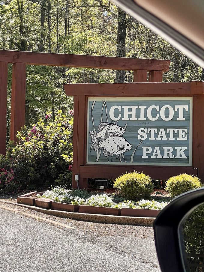 The park's charming welcome sign features local fish—the same ones that will ignore your bait for hours before suddenly giving you the catch of the day.