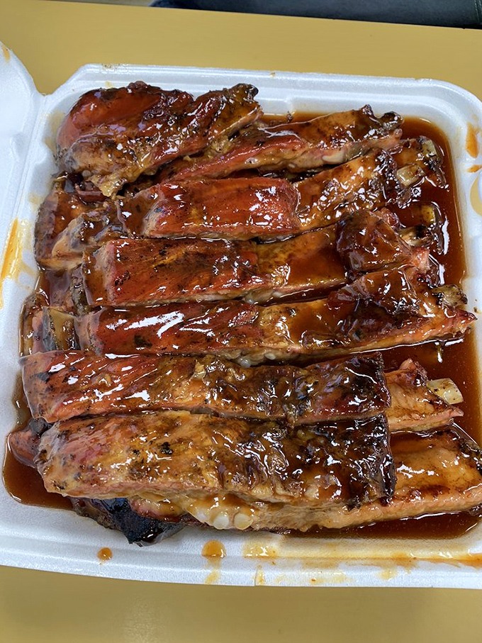 A half-slab arranged with military precision, shellacked with sauce that's somehow both glistening and matte. Meat architecture at its finest.
