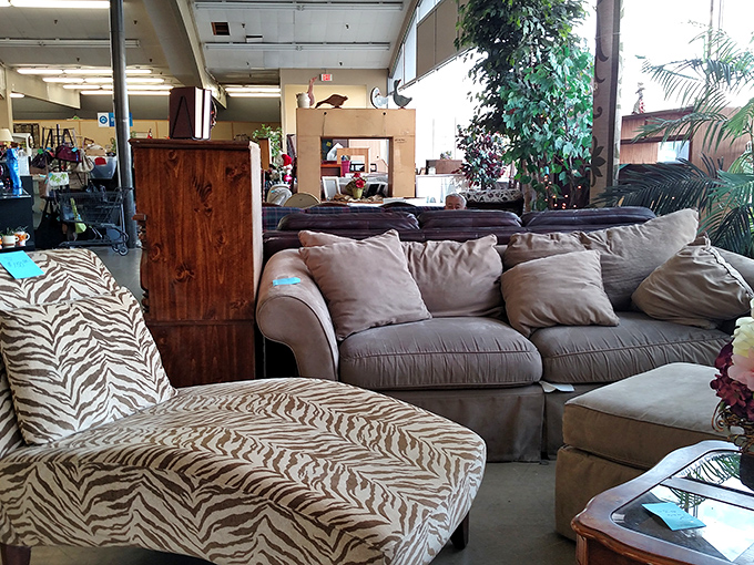 A zebra-print chaise lounge sits confidently beside a traditional sofa, the odd couple of furniture that somehow works perfectly together. 