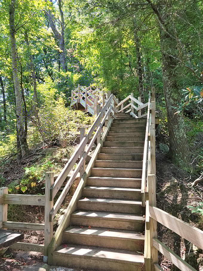 These stairs might make your calves complain, but the view at the top delivers the perfect rebuttal to every step.