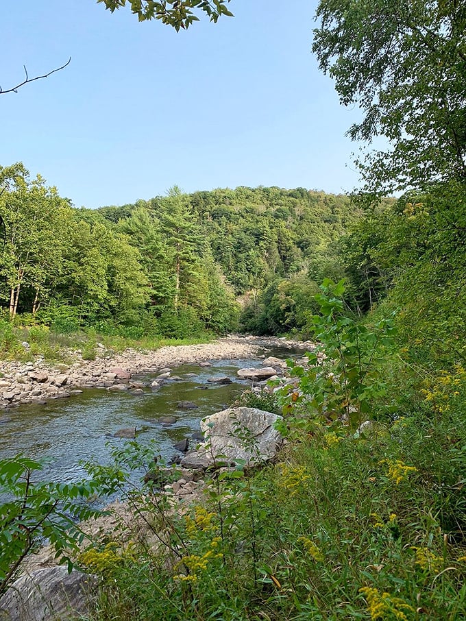 A rocky streambed that transforms with each rainfall. Water has been sculpting this masterpiece since before humans invented the chisel. 