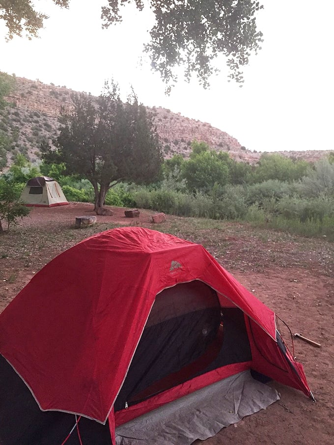 Camping here redefines "room with a view." No five-star hotel can compete with this red-rock backdrop and ceiling of stars.