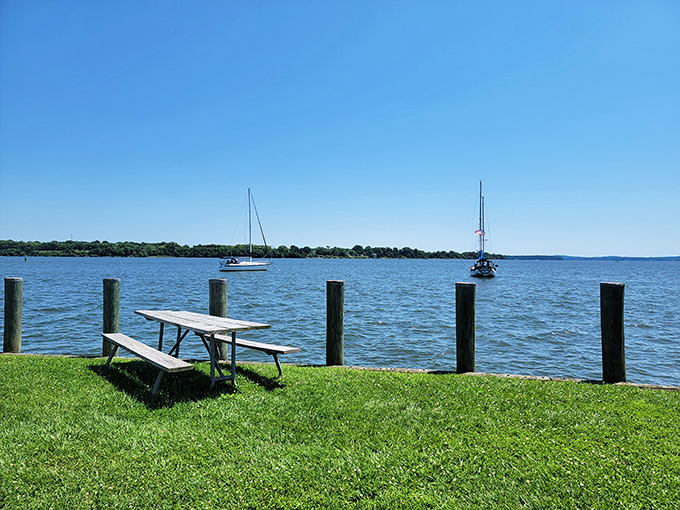 A picnic table with million-dollar views where you can enjoy a sandwich that didn't cost like your last car payment.