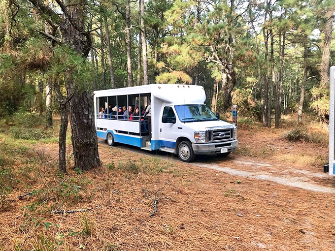 The Terra Gator tram: for when your spirit of adventure exceeds your physical stamina. No judgment here.
