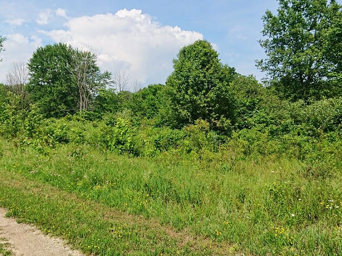 This prairie meadow doesn't just grow wildflowers&mdash;it grows perspective. Stand here long enough and your to-do list suddenly seems wonderfully unimportant.