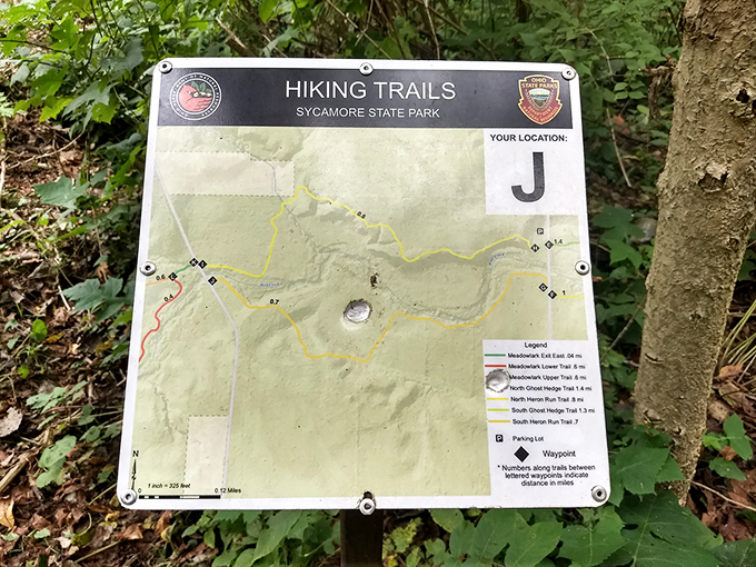 The treasure map to Sycamore's hidden gems. Unlike your car's GPS, this one never recalculates when you decide to wander off-path.