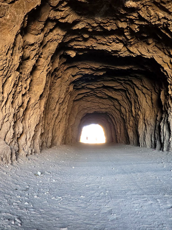 Light at the end of the tunnel isn't just a metaphor here&mdash;it's an actual hiking experience. Tunnel Drive offers geological wonders without geological price tags.