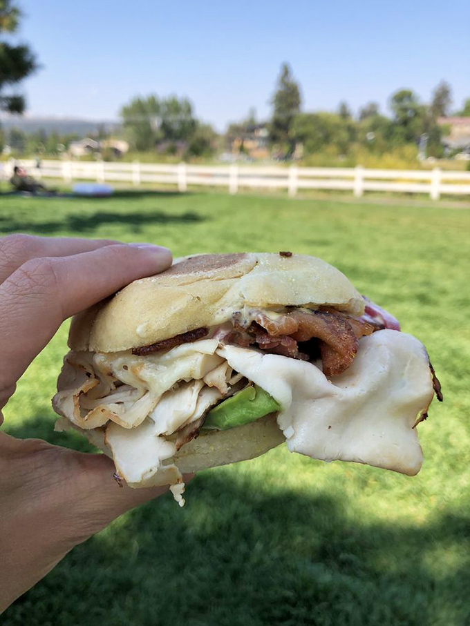 The classic BLT, elevated to art form. That bacon has the perfect crisp-to-chew ratio that sandwich dreams are made of. 