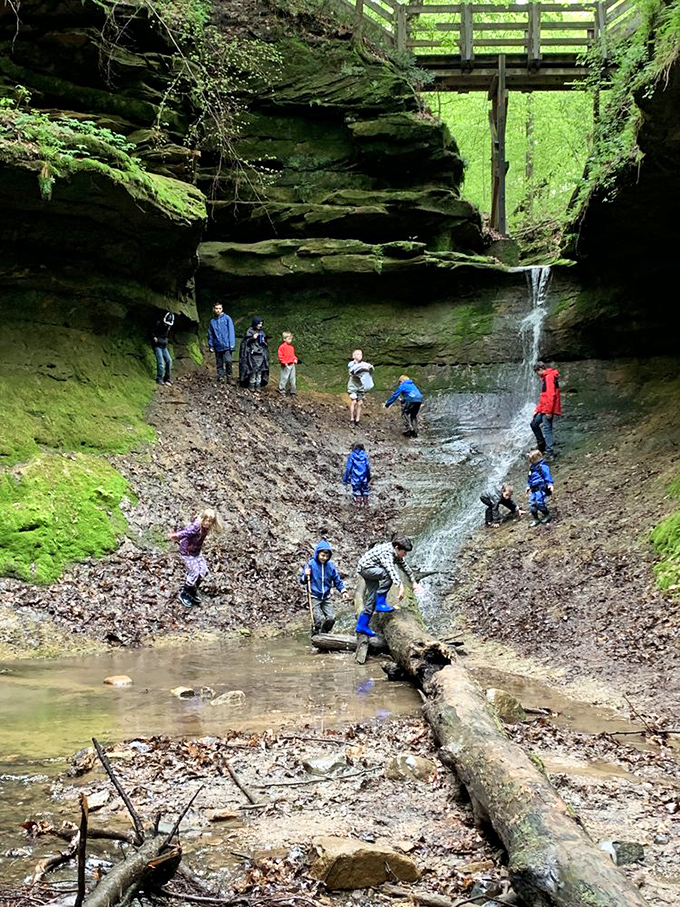A waterfall becomes an impromptu playground for explorers young and old. That log crossing? Nature's version of American Ninja Warrior, Midwest edition.