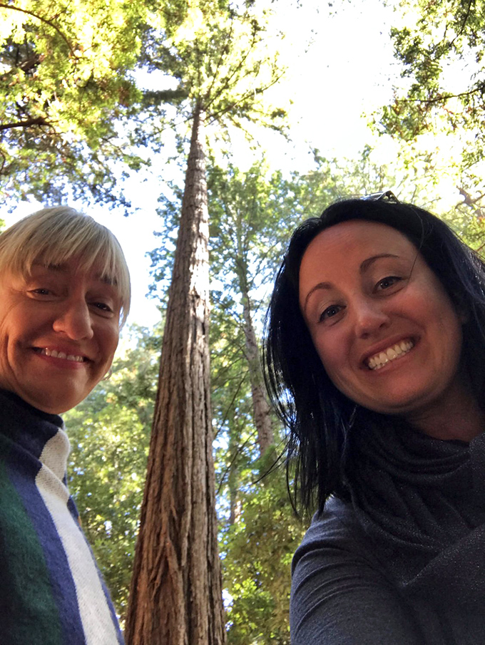 When the trees make you feel delightfully insignificant. These hikers know the secret joy of being dwarfed by ancient giants.
