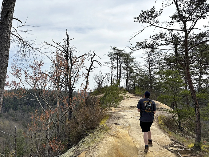 The best natural attractions bring strangers together in collective awe. Here, fellow hikers become temporary friends united by the universal language of "wow."