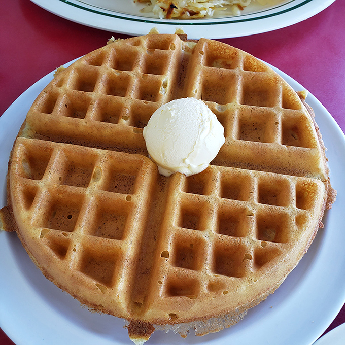 A waffle so perfectly golden it deserves its own spotlight, with butter melting like a headliner making a grand entrance.