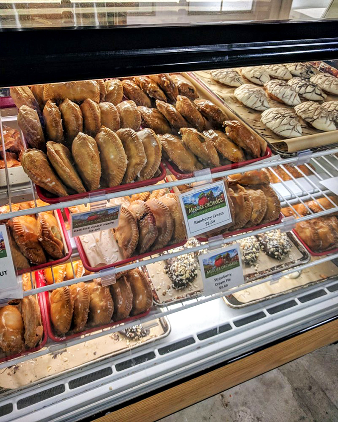 Pastry perfection in multiple layers. From apple fritters to golden fried pies, this display case is basically the Louvre of baked goods.