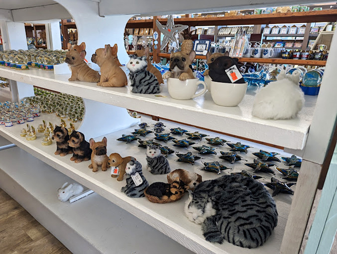 A menagerie of miniature companions awaits adoption. These tiny critters promise to be the lowest-maintenance pets you'll ever own&mdash;no feeding, just occasional dusting. 