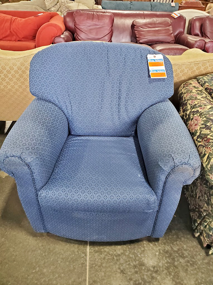 This blue armchair isn't just furniture – it's your future Sunday afternoon nap station, book nook, and pet's forbidden territory all in one.