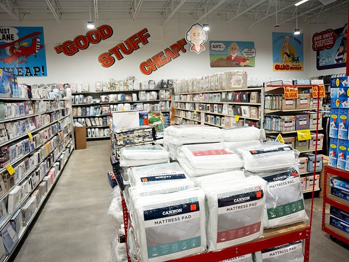 Beneath the "Good Stuff Cheap" mantra, premium mattress pads await smart shoppers who understand that great sleep doesn't have to come with nightmare prices.