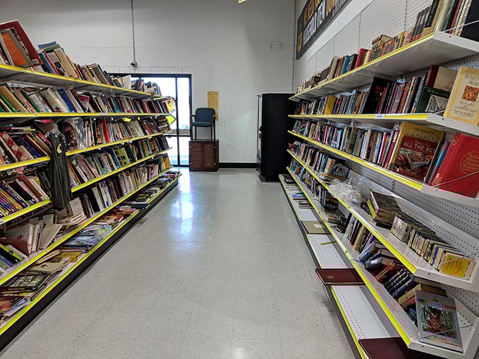 The book aisle: where literary treasures hide between dog-eared paperbacks, waiting for their next reader to discover them.