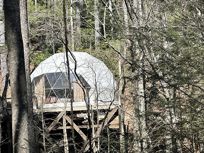 Glamping has entered the chat. This geodesic dome proves you don't need to sacrifice comfort to wake up in the wilderness.