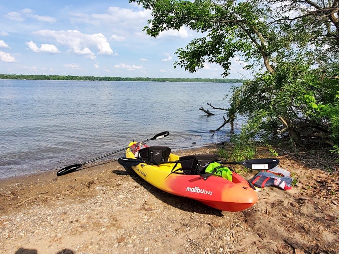 Kayaking at Alum Creek: where you can pretend you're Lewis and Clark exploring uncharted territory, even though Starbucks is just 15 minutes away.