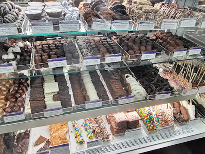 A chocolate showcase that would make Willy Wonka himself stop and take notes. Each piece waits patiently for its moment of glory.