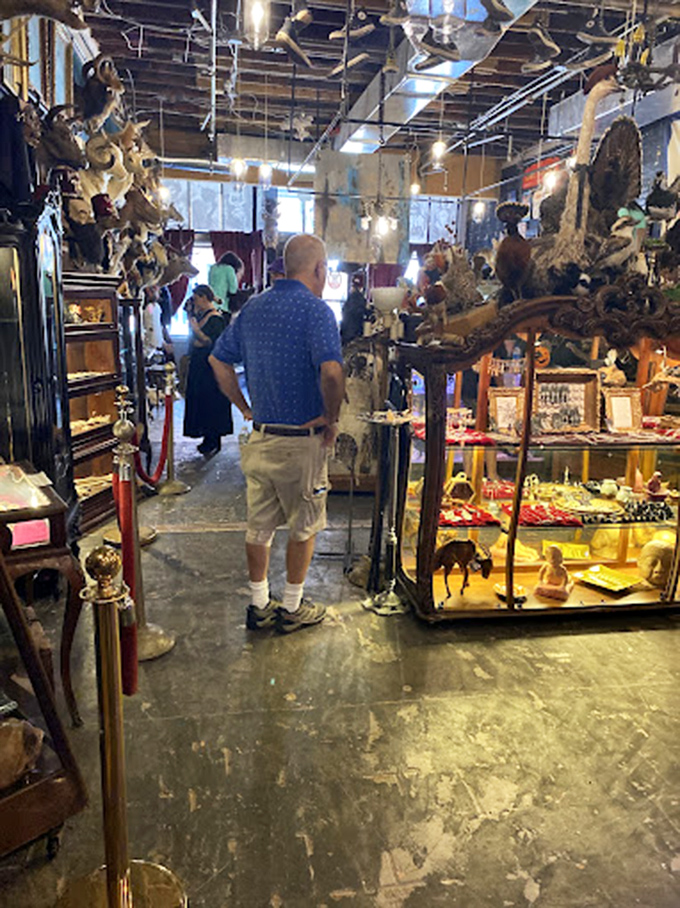 Customers wander through narrow pathways of wonder, where every turn offers something that belongs in either a museum or your eccentric aunt's parlor. 
