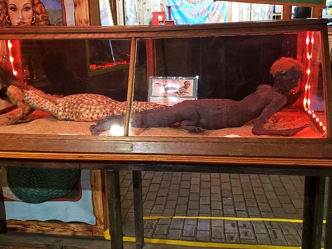 This "mermaid" display embodies classic sideshow tradition &ndash; part fascinating craftwork, part delightful hoax that you can't help but appreciate.