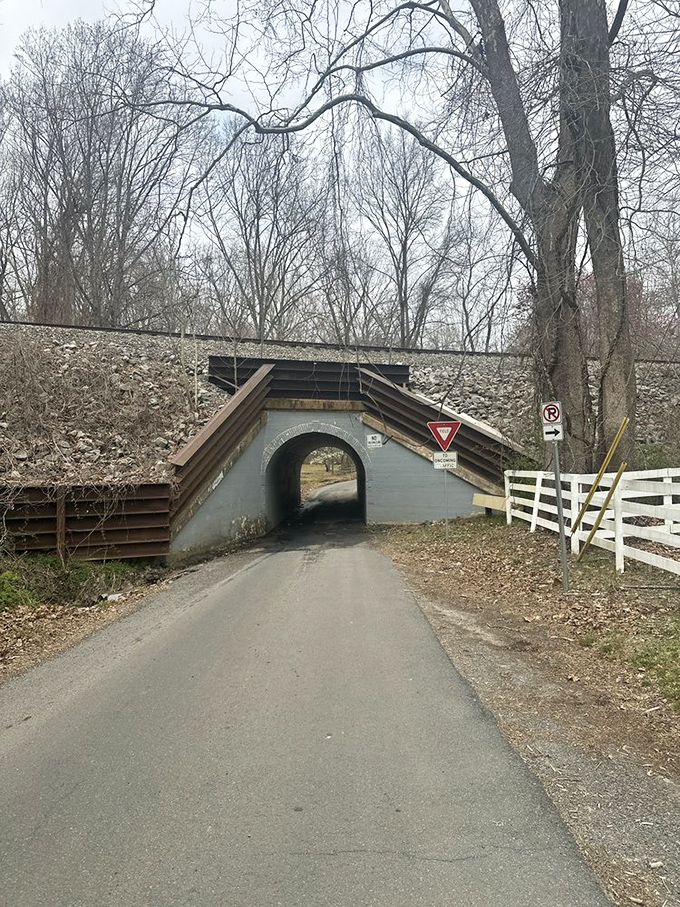 Winter strips away the camouflage. Without summer foliage, the bridge stands exposed against bare branches, somehow more vulnerable and ominous.