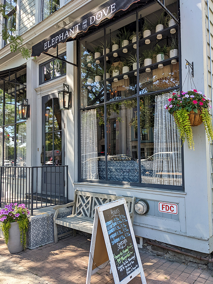 Elephant and Dove's elegant fa&ccedil;ade combines urbane sophistication with small-town warmth&mdash;the culinary equivalent of wearing a tuxedo with comfortable shoes.
