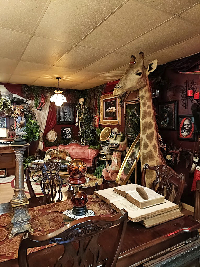 Who says libraries can't have unusual guardians? This towering giraffe presides over a Victorian-inspired reading nook where antique books meet natural wonders.