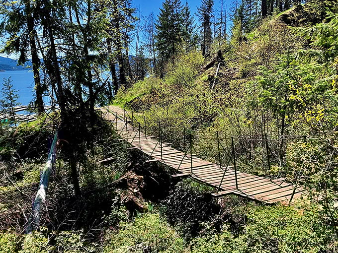 This rustic wooden bridge adds just enough adventure without venturing into "Indiana Jones territory." Nature's perfect balance of accessible and wild.