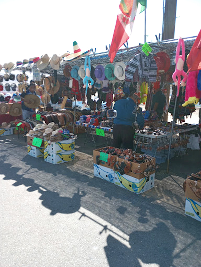 Hat heaven under the California sun. From practical protection to cultural statement pieces, headwear that speaks volumes.