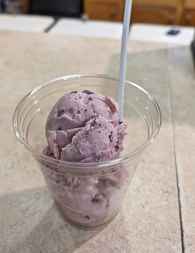 Huckleberry ice cream in its pre-shake form, showing off that distinctive lavender hue that signals your taste buds to prepare for happiness.