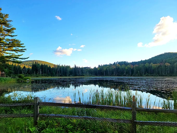 Mirror, mirror on the pond. Bethlehem's natural landscapes reflect both sky and soul&mdash;no filter required.
