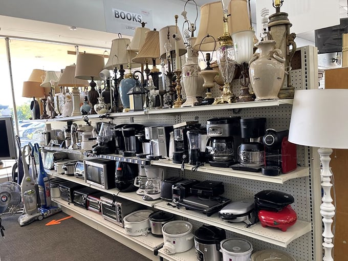 Lamp paradise or the place where lighting fixtures go to find their forever homes? Either way, your dark corner's salvation awaits.