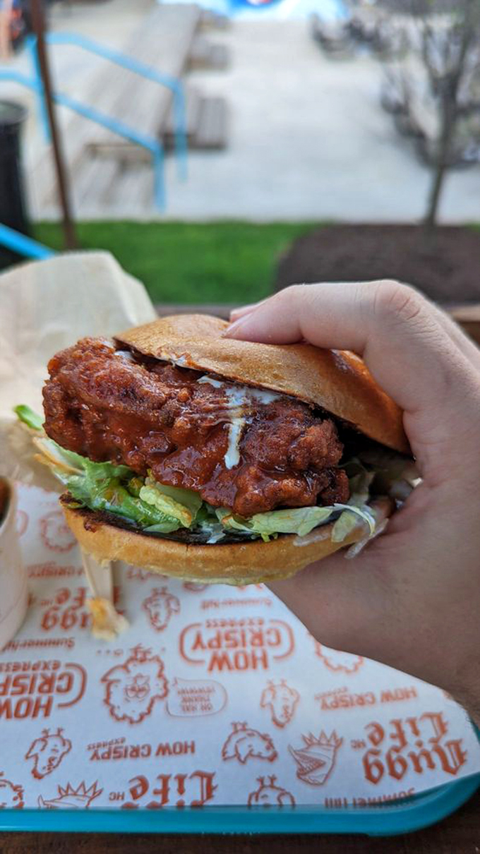 That perfect bite where golden bun meets crispy chicken and fresh lettuce&mdash;a moment worth documenting before it disappears forever.