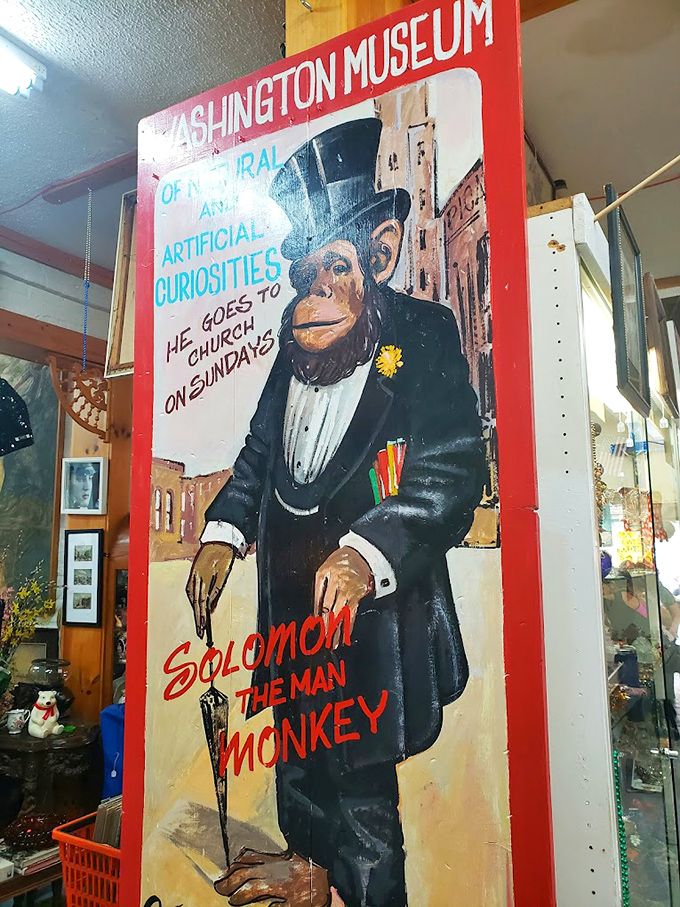 "Solomon the Man Monkey" poster recalls the strange spectacles of vintage circus sideshows. He goes to church on Sundays&mdash;clearly a well-rounded simian gentleman.