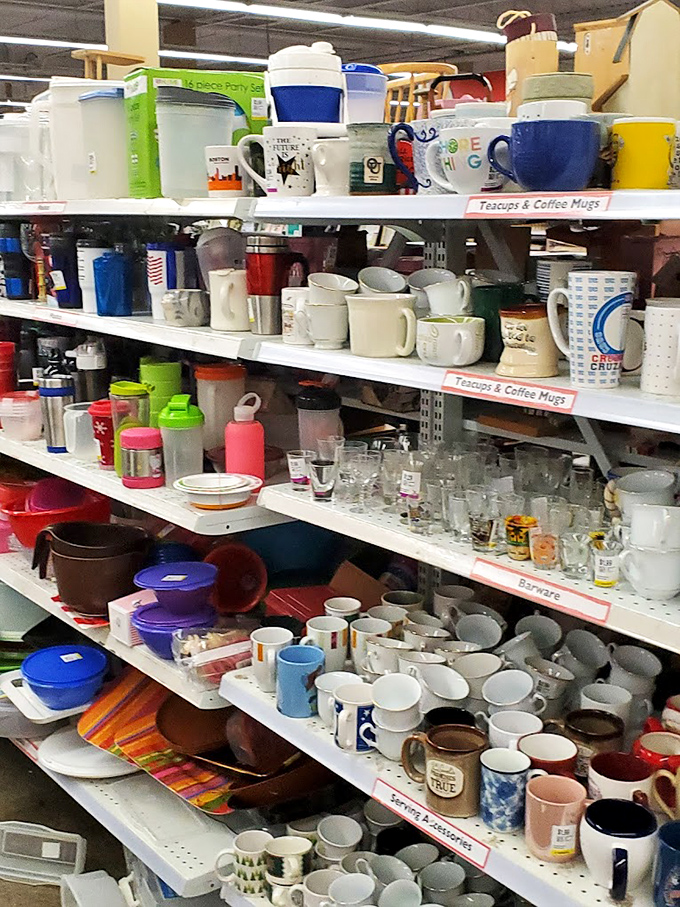 The mug section &ndash; where coffee vessels from company retreats and forgotten vacations find new homes and fresh morning routines.