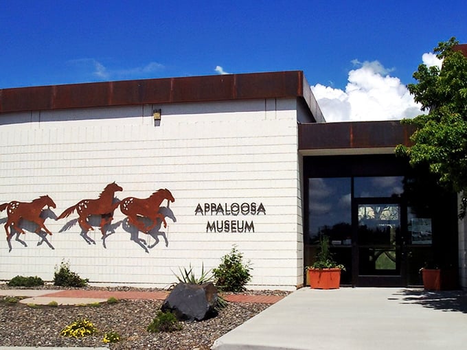 The Appaloosa Museum celebrates Idaho's equestrian heritage. Who knew horse history could be this fascinating? Well, everyone in Moscow apparently.