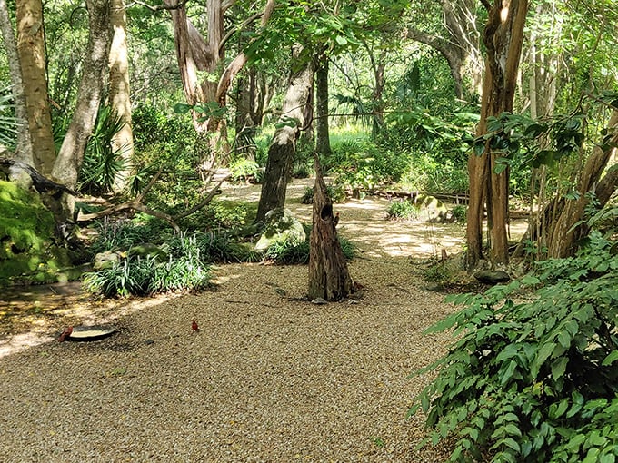 Nature doesn't need Instagram filters here. Thomasville's serene gardens offer quiet pathways where Spanish moss and Southern hospitality hang equally heavy in the air.