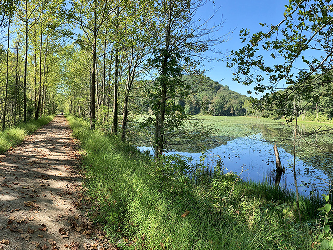 What remains of the old railway bed now serves hikers and history buffs. These rock walls stand sentinel, their graffiti a colorful timeline of visitors past.