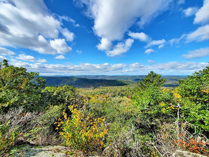 From this summit vista, you can see tomorrow coming. The Catskills in the distance look like they're posing for a landscape painting.