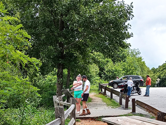 Overlooks become impromptu gathering spots where strangers share the universal language of "would you look at that view!"