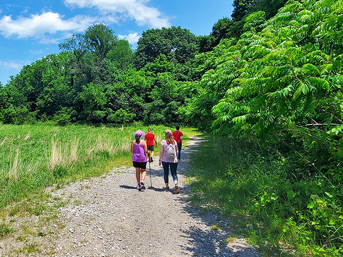 Hiking the bluffs offers nature's own stair-master workout, but with views that make you forget you're technically exercising.
