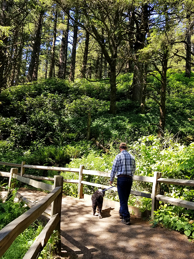 Even four-legged explorers appreciate the scenic route. This well-maintained trail welcomes visitors of all species to experience Oregon's coastal magic.