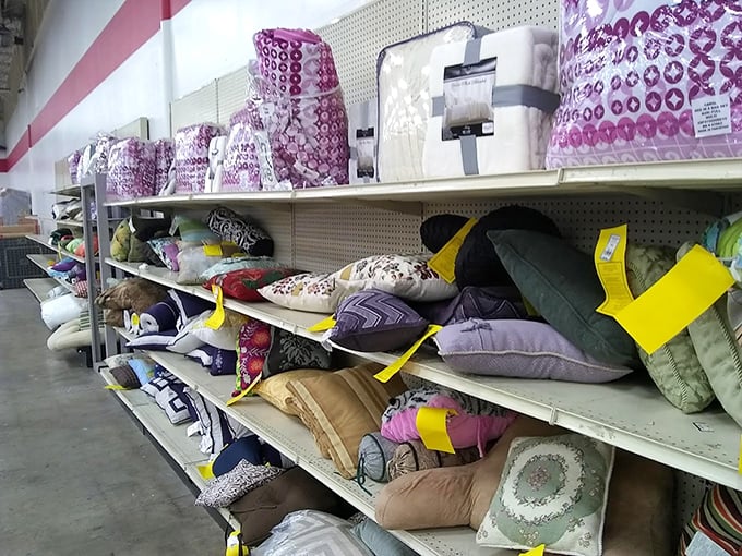 Pillow paradise! The decorative cushion collection that makes you wonder if you really need fourteen more pillows. (Spoiler alert: you do.)