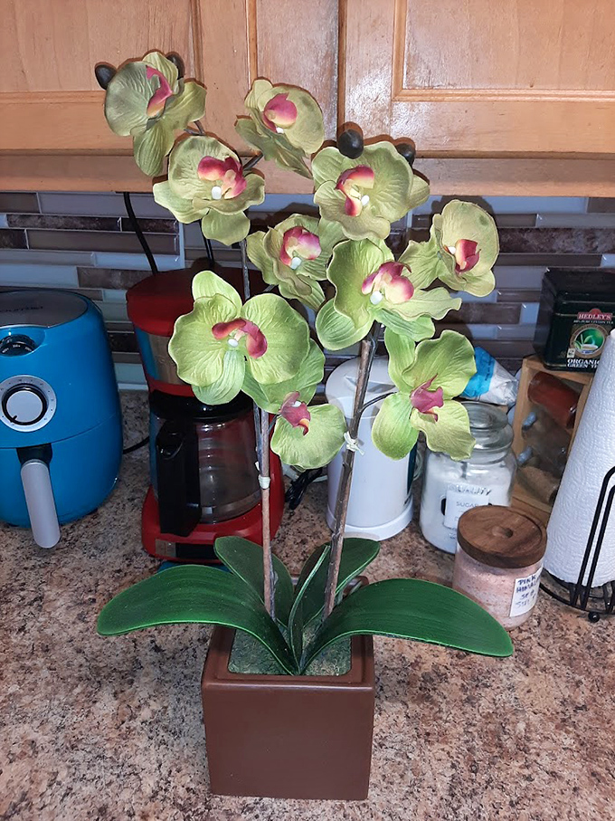 Silk flowers that never need watering &ndash; the perfect low-maintenance greenery for those of us who've loved too many plants to death.