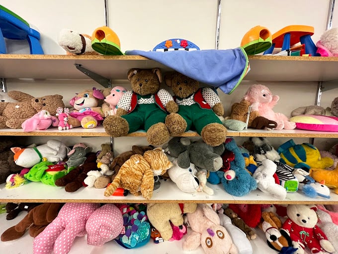 Stuffed animal kingdom where abandoned teddy bears find new cuddle companions and childhood memories are priced by the shelf.